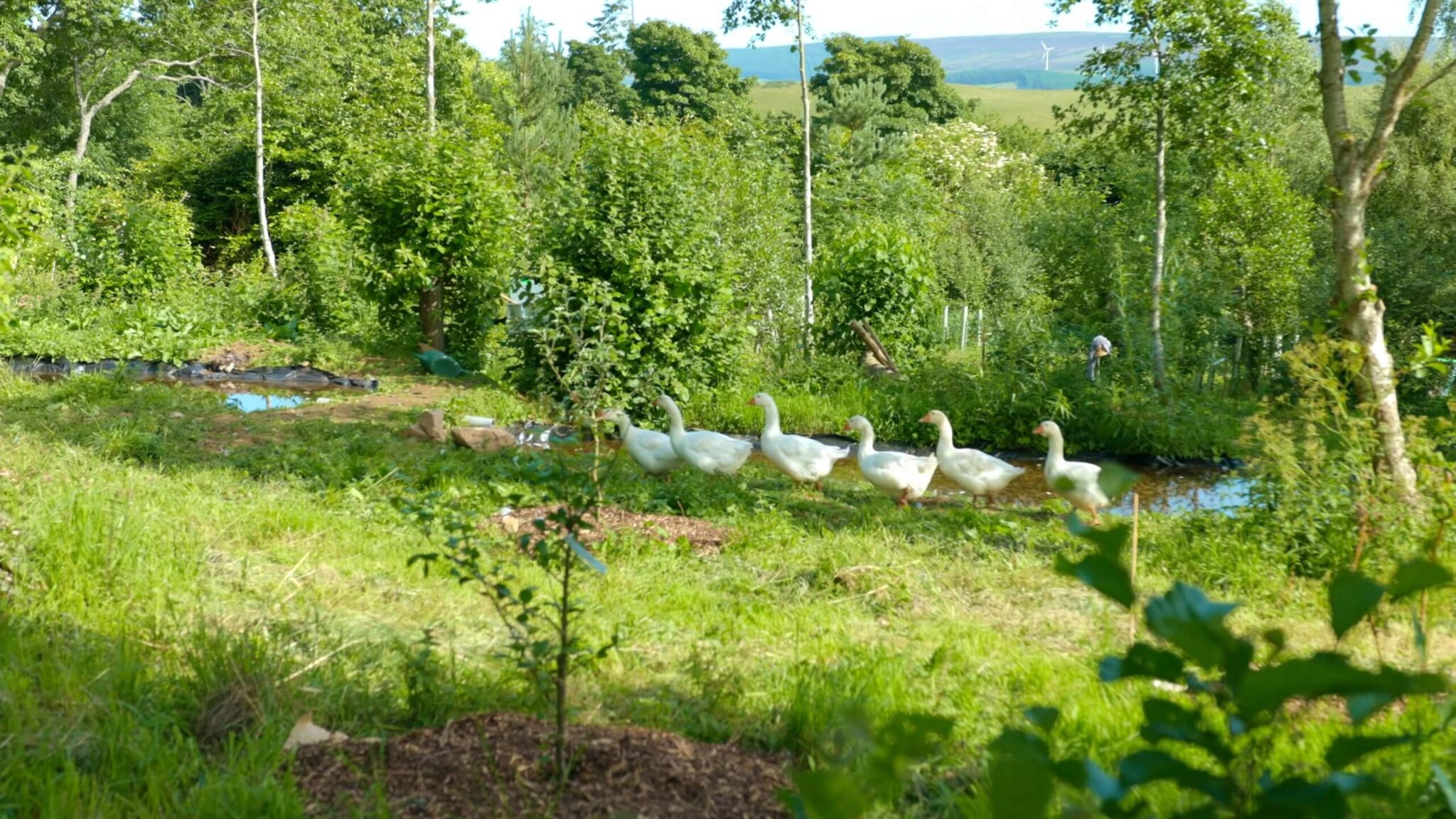 What is the Most Sustainable Method Of Food Production? - Sustainable ...