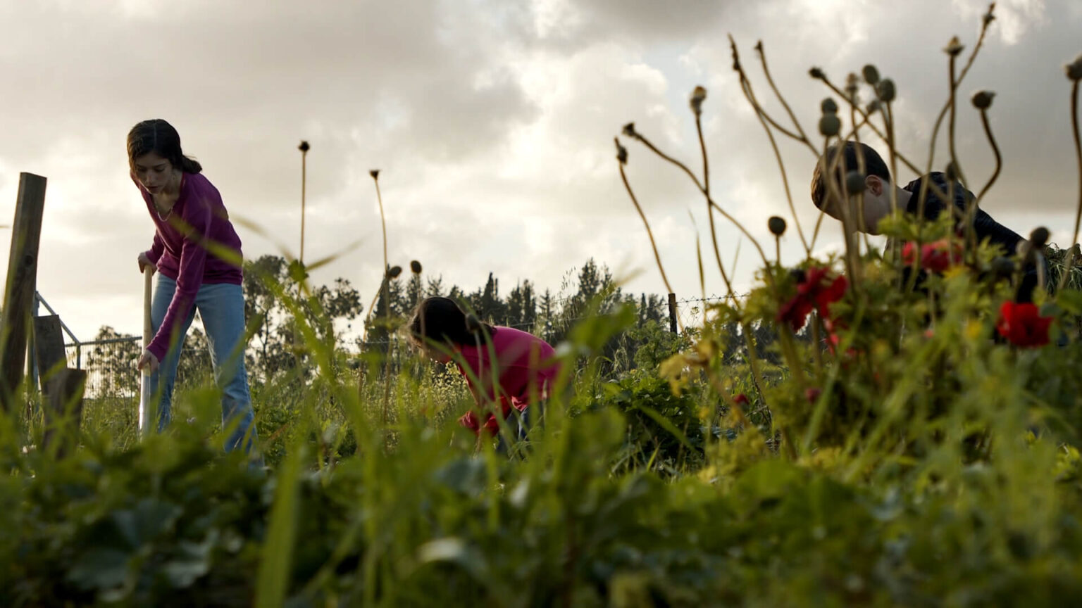 What is the Most Sustainable Method Of Food Production? - Sustainable ...